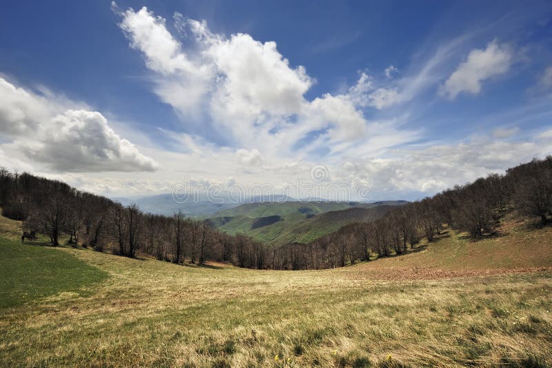 Beautiful spring landscape stock photo. Image of burst - 19567662
