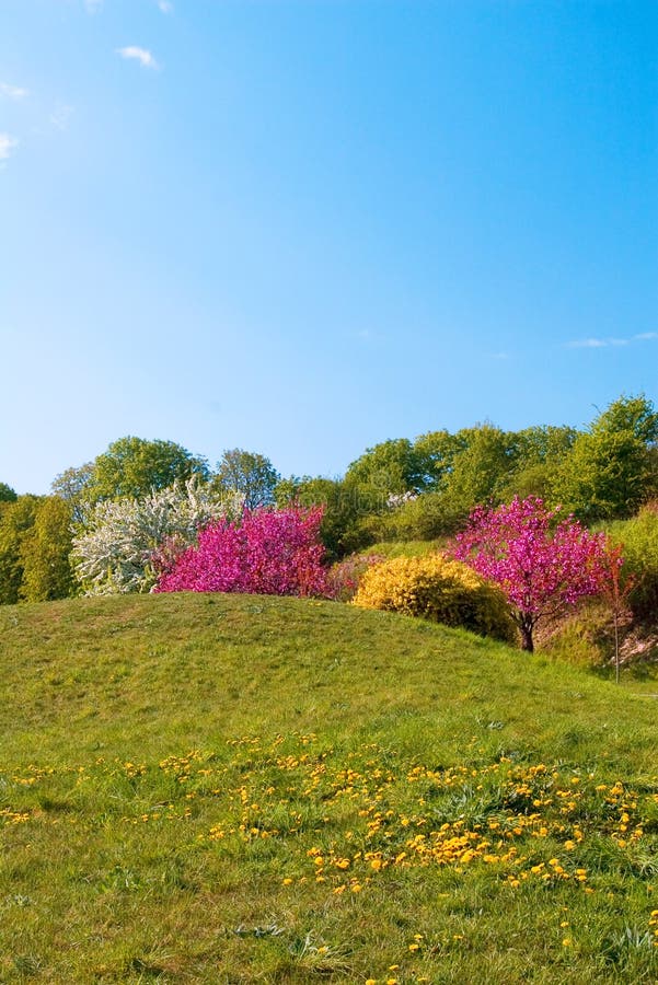 Beautiful spring landscape stock image. Image of bush - 2363639