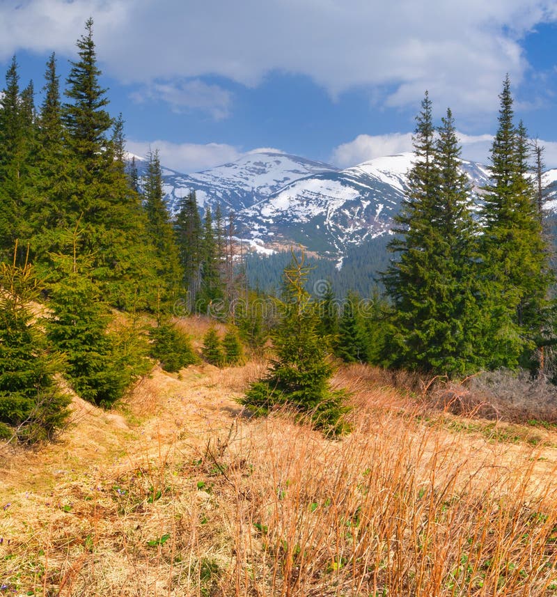 Beautiful spring landscape stock image. Image of hill - 23944055