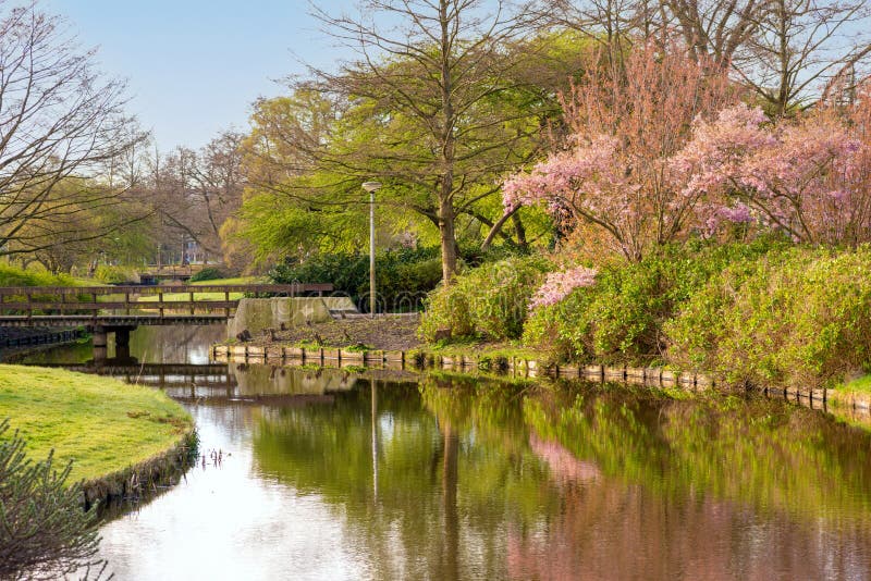 Beautiful Spring Landscape. Canal with a Bridge and Blossoming Trees ...