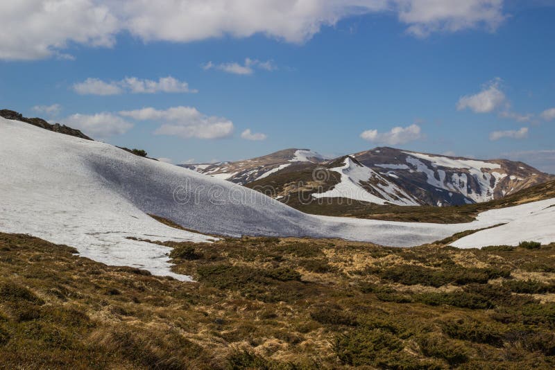 Beautiful Spring Landscape in Carpathians Mountains. Ukraine. Stock ...