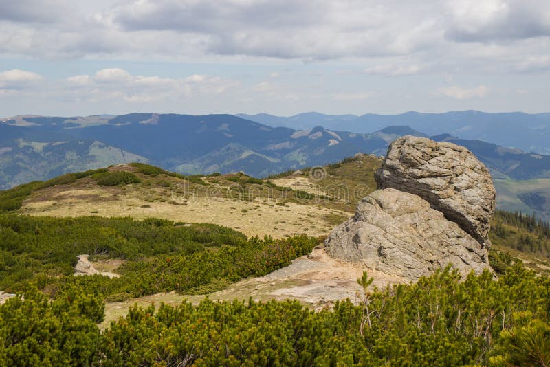 Beautiful Spring Landscape in Carpathians Mountains. Ukraine. Stock ...