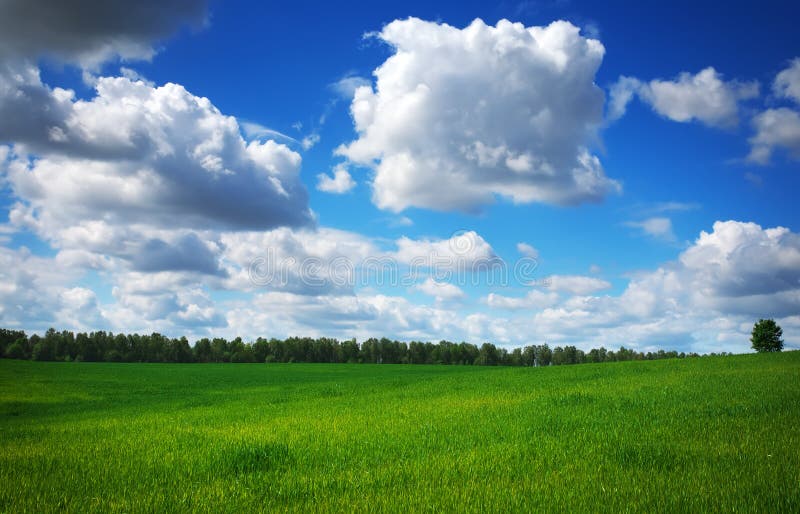 Beautiful Spring Landscape. Stock Image - Image of clear, cloudy: 72288749