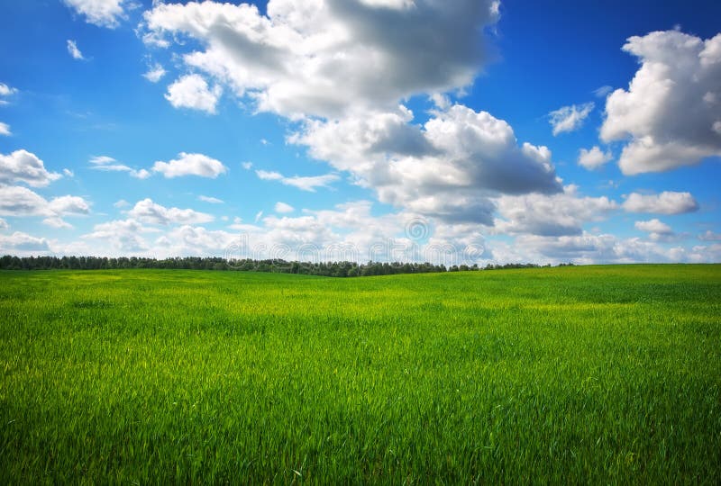 Beautiful Spring Landscape. Stock Image - Image of field, blue: 72288909