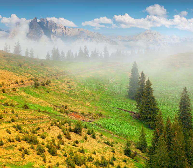 Beautiful Spring Landscape in Foggy Mountains. Stock Photo - Image of ...