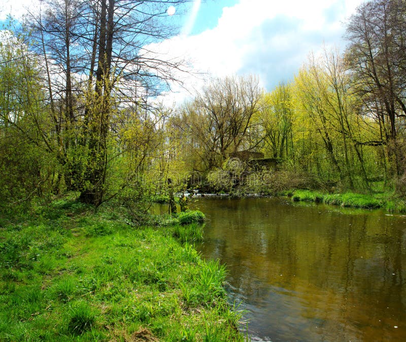 Beautiful Spring Landscape. Forest River in Spring. Stock Image - Image ...