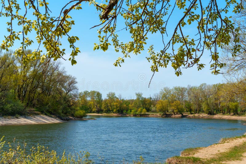 A Beautiful Spring Landscape with a Forest and River View. Green Grass ...