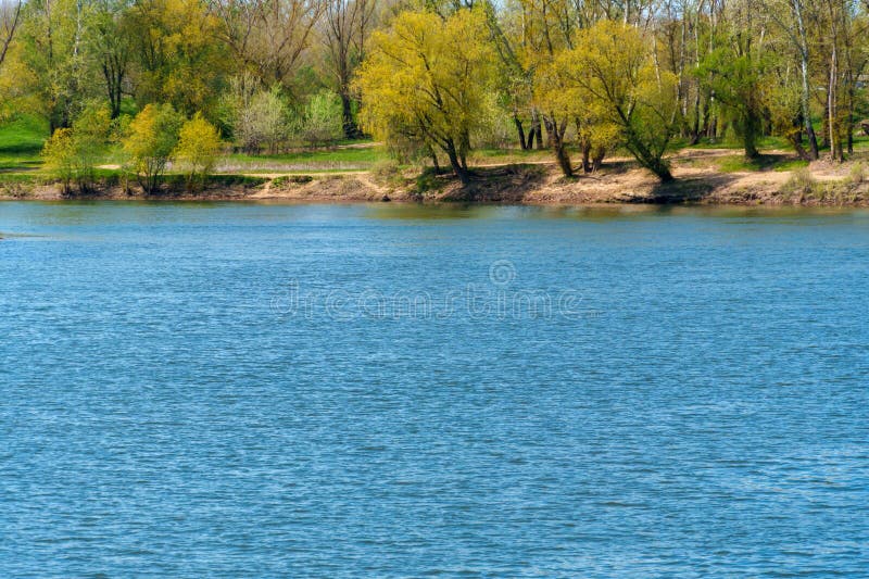 A Beautiful Spring Landscape with a Forest and River View. Green Grass ...