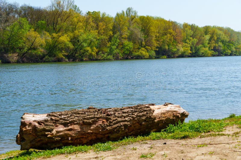 A Beautiful Spring Landscape with a Forest and River View. Green Grass ...