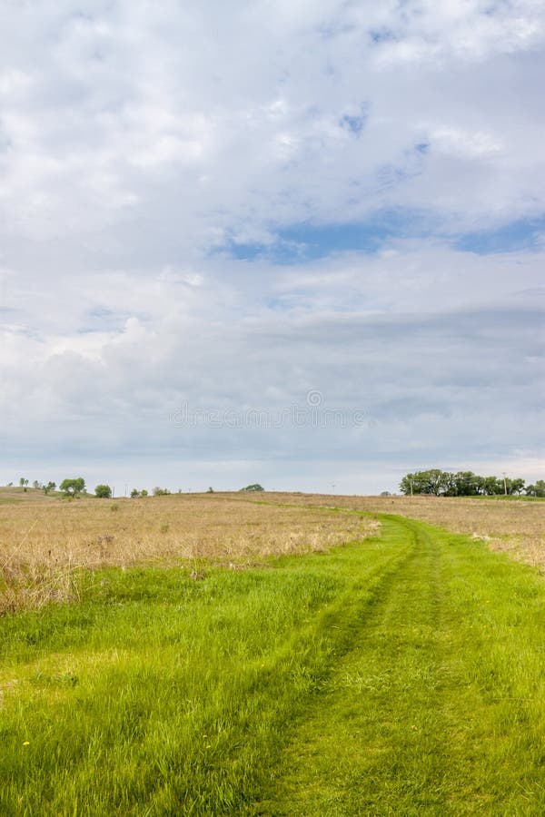 Beautiful spring landscape stock photo. Image of green - 41125948