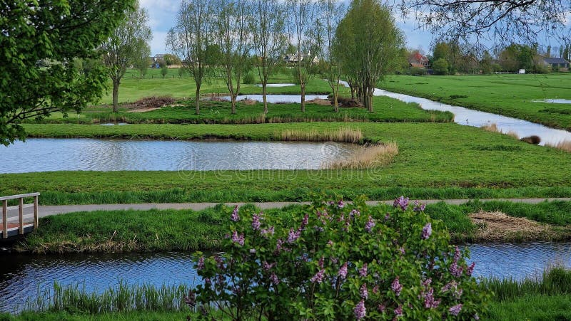 Beautiful Spring Landscape with Green Meadows and Streams. Stock Image ...