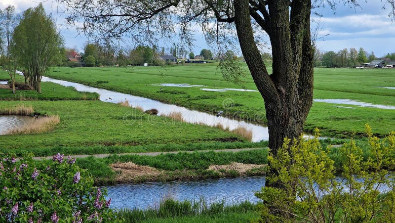 Beautiful Spring Landscape with Green Meadows and Streams. Stock Photo ...