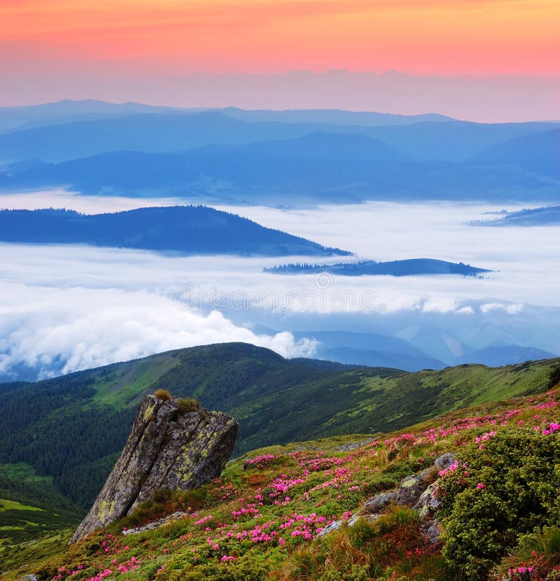 Beautiful spring landscape stock photo. Image of park - 32368254