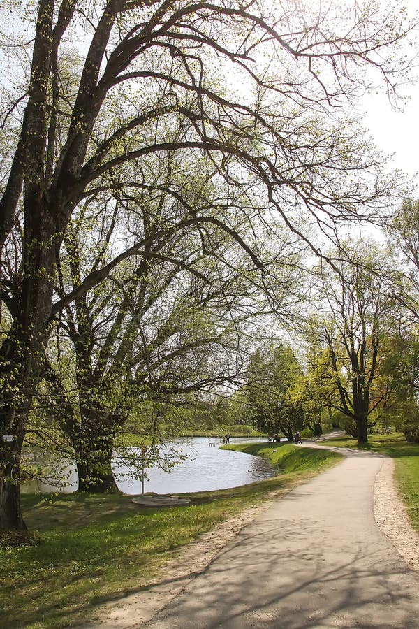 Beautiful Spring Landscape with Pond and Green Trees Stock Photo ...