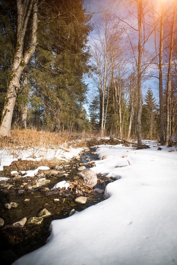 Beautiful Spring Landscape with the River and the Stock Photo - Image ...