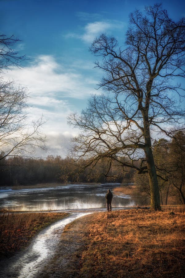 Beautiful Spring Landscape with a Small Stream. Stock Image - Image of ...