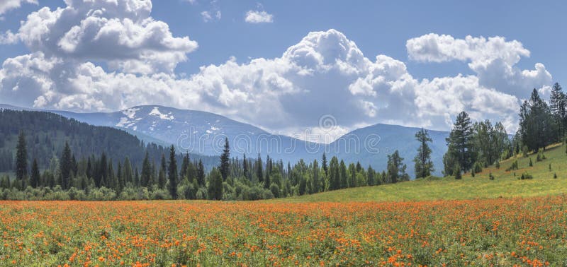 Beautiful Spring Landscape, Spring in the Mountains Stock Photo - Image ...