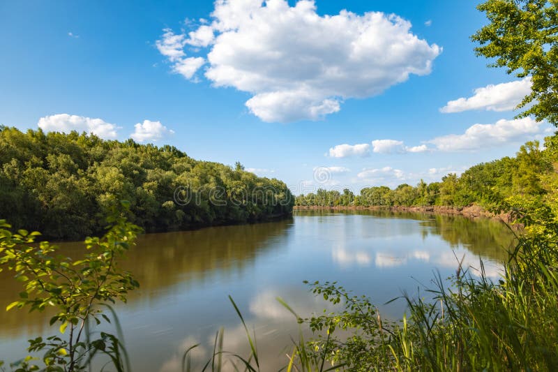 Beautiful Spring Landscape, View of River and Forest on Bright Sunny ...