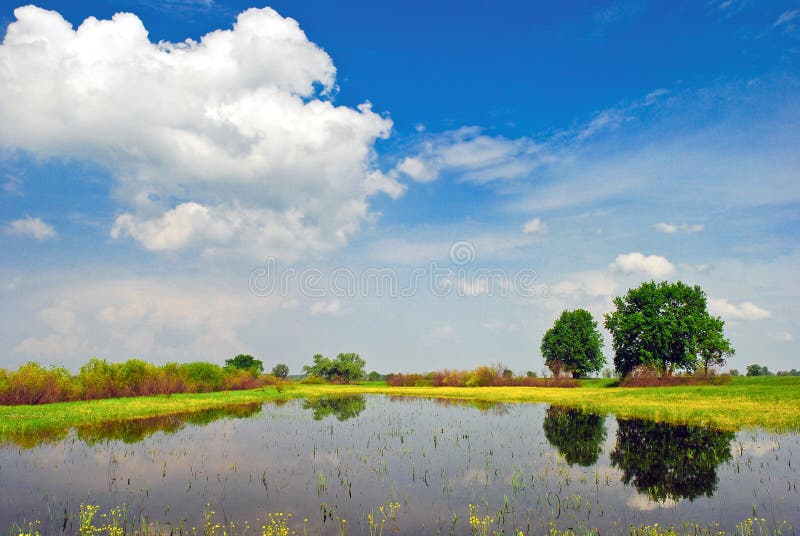 Beautiful spring landscape stock photo. Image of country - 35252208