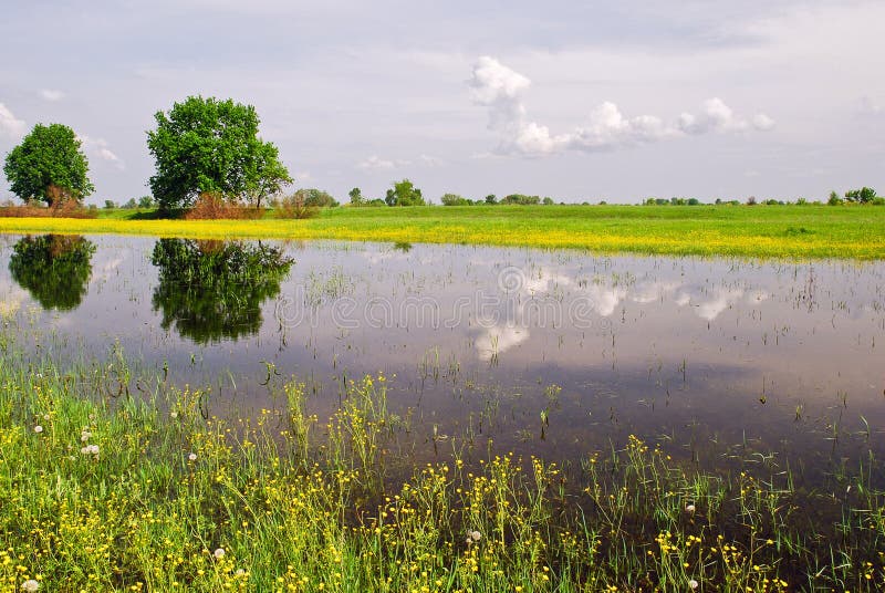Beautiful spring landscape stock image. Image of field - 35252211