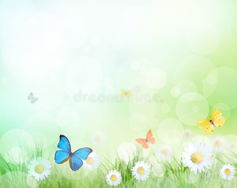 Beautiful spring meadow stock illustration. Illustration of colorful ...