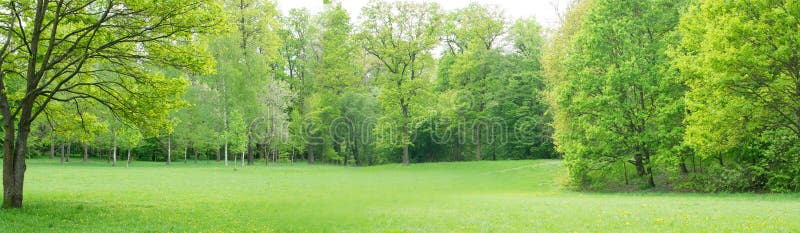 Beautiful Spring Meadow stock image. Image of space - 285175463