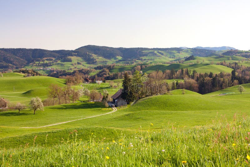 Beautiful Spring Meadows and Hills Stock Image - Image of beautiful ...