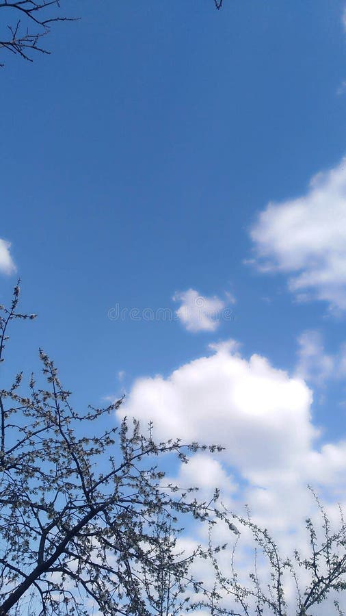 Beautiful spring morning stock image. Image of spring - 204920553