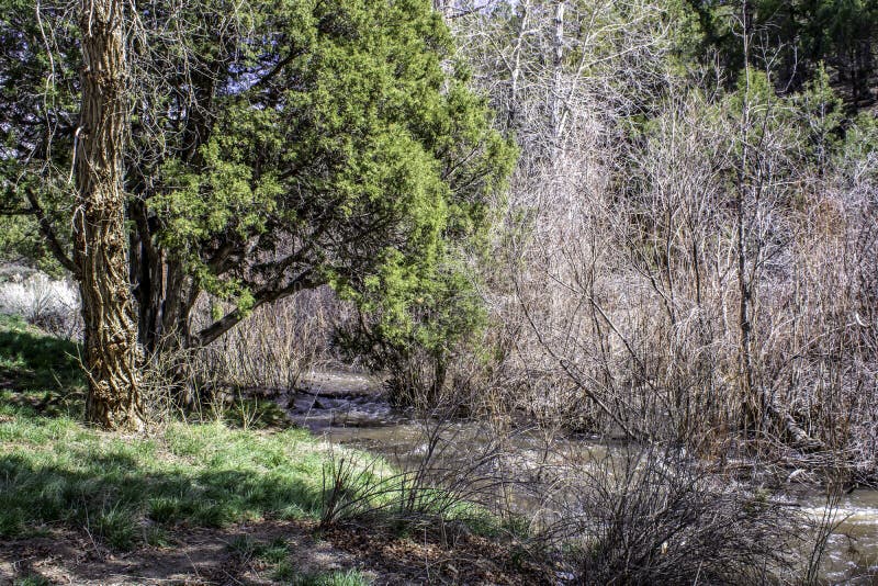 Beautiful Spring Mountain Scenery Stock Image - Image of springtime ...