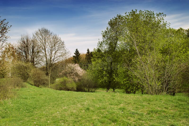 Beautiful Spring Nature Landscape Stock Image - Image of beautiful ...