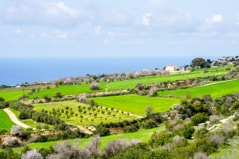 Beautiful Spring Nature Landscape in Cyprus with the Mediterranean ...