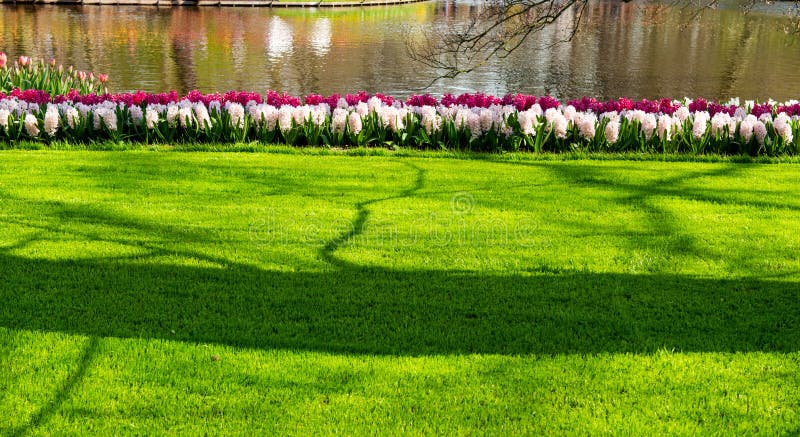 Beautiful Spring Park in Holland Paysage Stock Image - Image of fresh ...