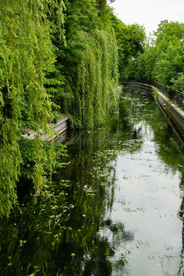 Beautiful Spring River and Forest. Nature Reflection of Trees in the ...