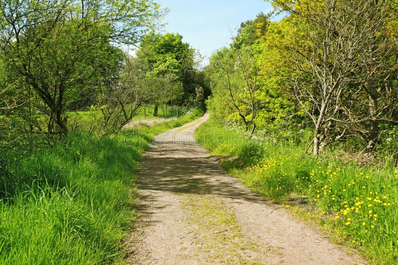 Beautiful Spring Road in the Park Stock Photo - Image of freshness ...