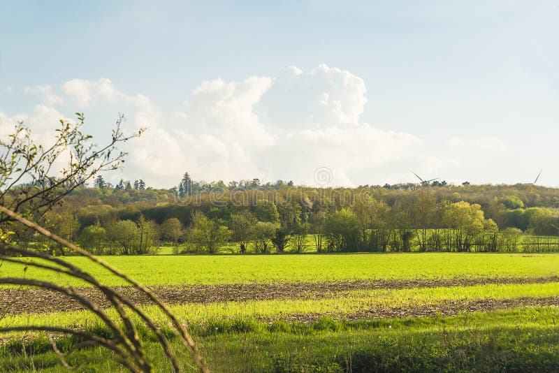 Beautiful Spring Rural Landscape Stock Photo - Image of wheather ...