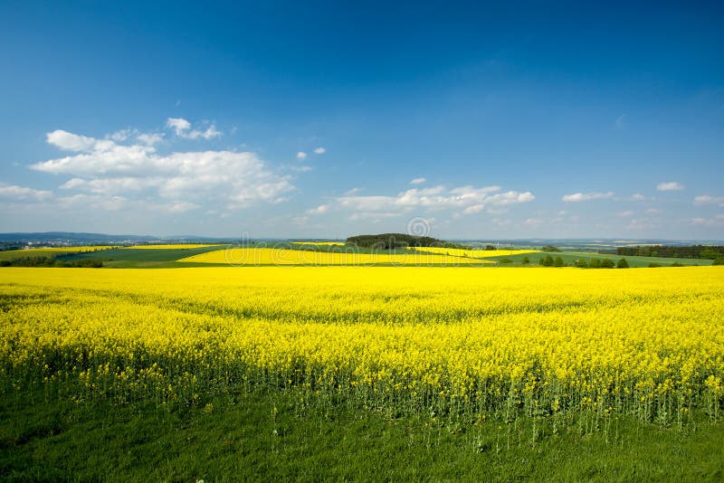 Beautiful Spring Rural Landscape Stock Photo - Image of czech, growth ...