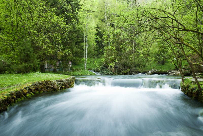 Beautiful Spring Scene stock photo. Image of long, jungle - 68081722