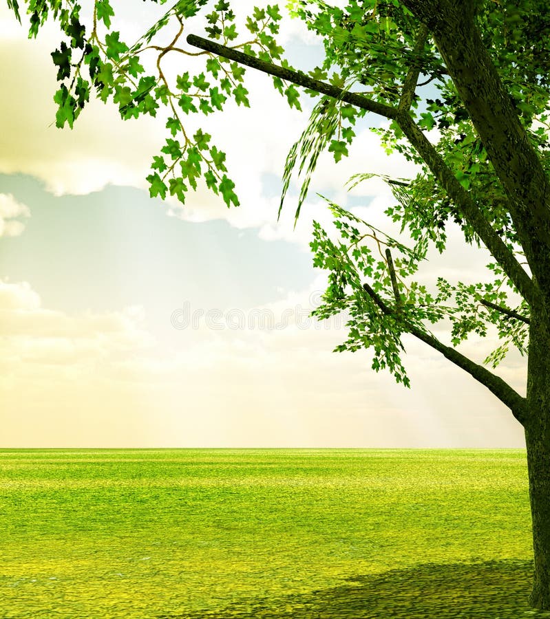 Beautiful spring scenery stock photo. Image of park, beams - 5876754