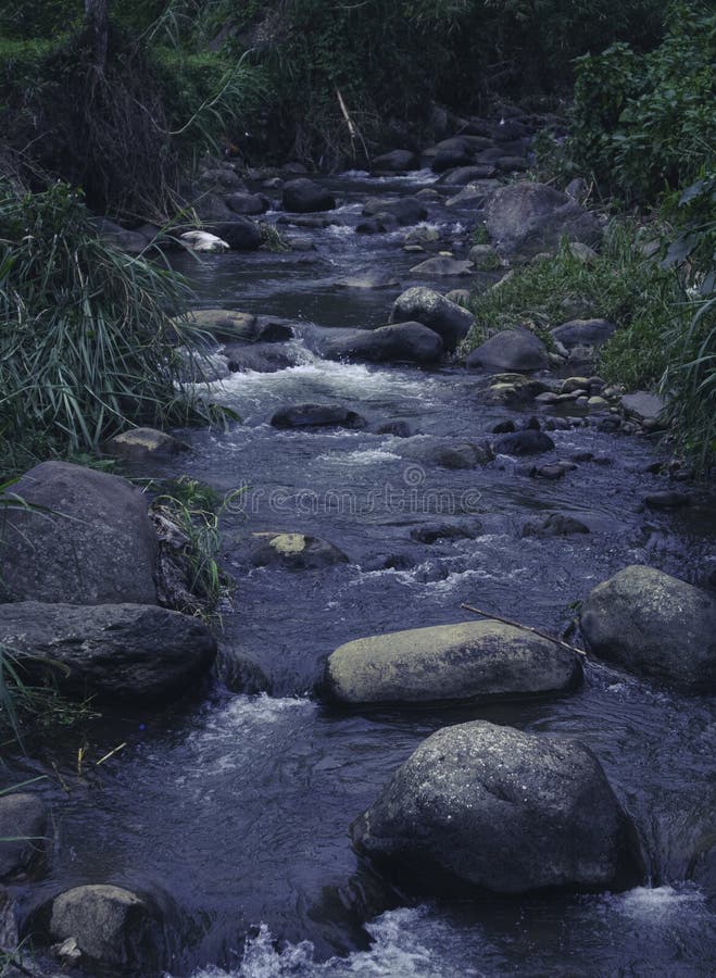 Beautiful Spring Stream, River Rocks in Mountain Forest Stock Image ...