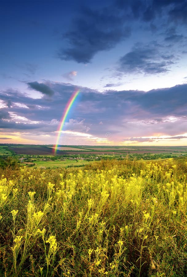 Beautiful Spring or Summer Landscape with Flowers, Cloudy Sky and ...