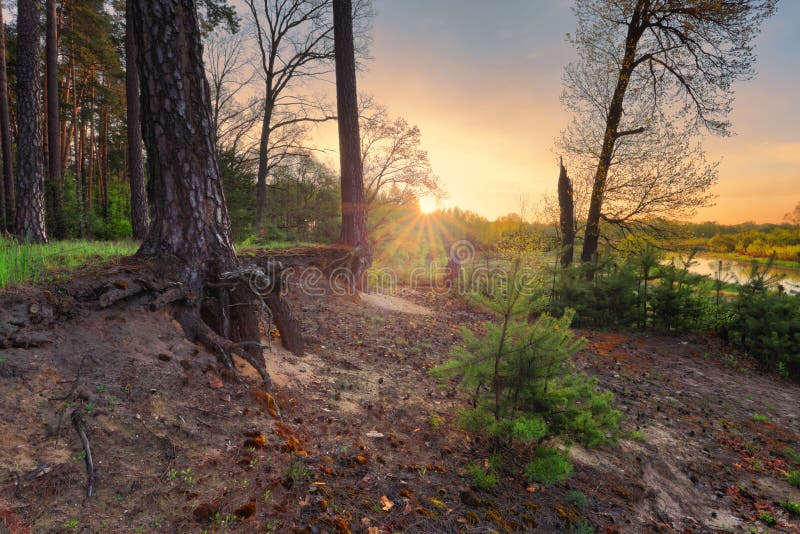 Beautiful spring sunrise stock photo. Image of light - 70897958