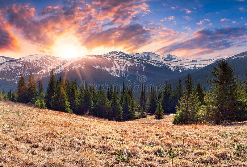 Beautiful Spring Sunrise in Mountains Stock Photo - Image of panorama ...