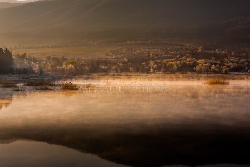 Spring sunrise stock image. Image of flora, wood, tree - 147631035