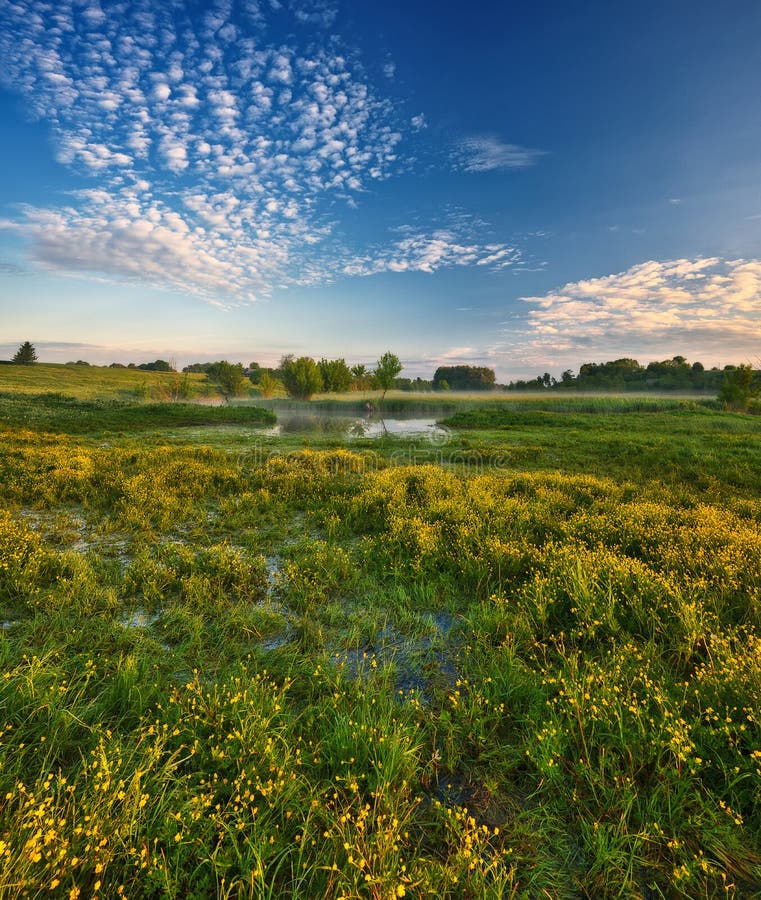 Beautiful Spring Sunrise Over River Banks Stock Image - Image of river ...