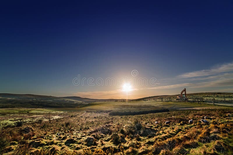 Beautiful Spring Sunset in County Cork Stock Photo - Image of grass ...