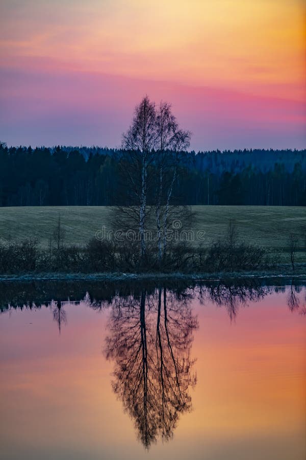 Beautiful Spring Sunset in Finland. the Picture Shows a Leafless Tree ...