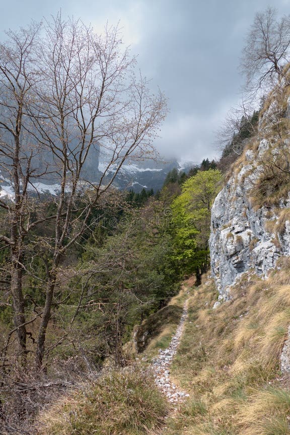 Beautiful Spring Time in Dolomiti Mountails Stock Image - Image of ...