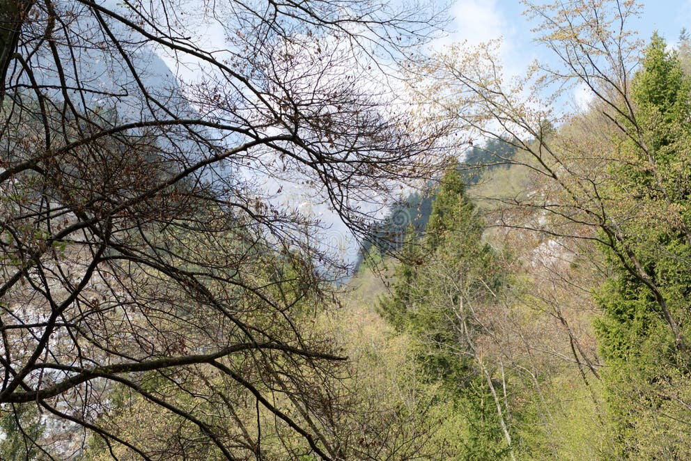 Beautiful Spring Time in Dolomiti Mountails Stock Image - Image of ...