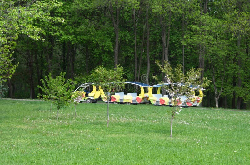 A Beautiful Spring View of a Forest, a Meadow and an Amusement Train in ...