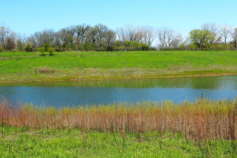Beautiful Spring View with Trees and Green Grass. Stock Photo - Image ...